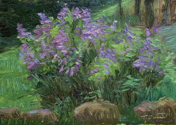 Purple Hedges - Ted Garcia